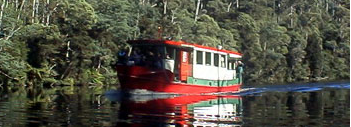 Arthur River Cruise Back in September - Sunset Holiday Villas